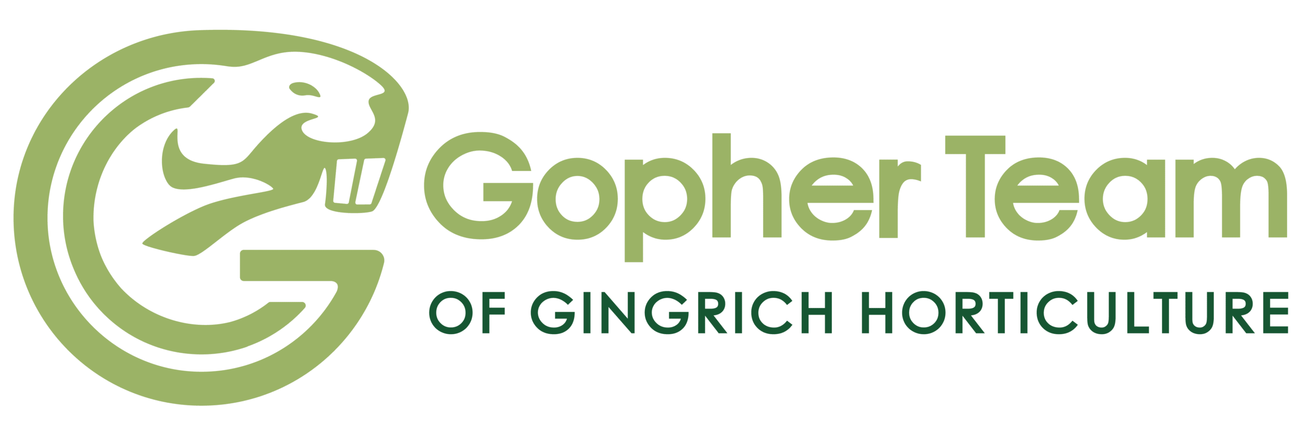 Digital Marketing, Website Design Agency | Company 119